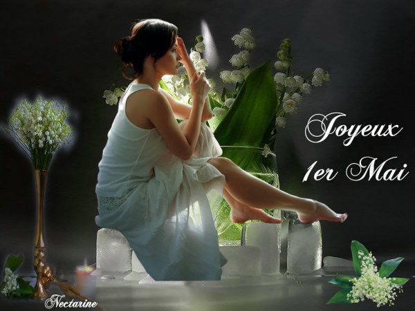 muguet du mois de mai - Page 2